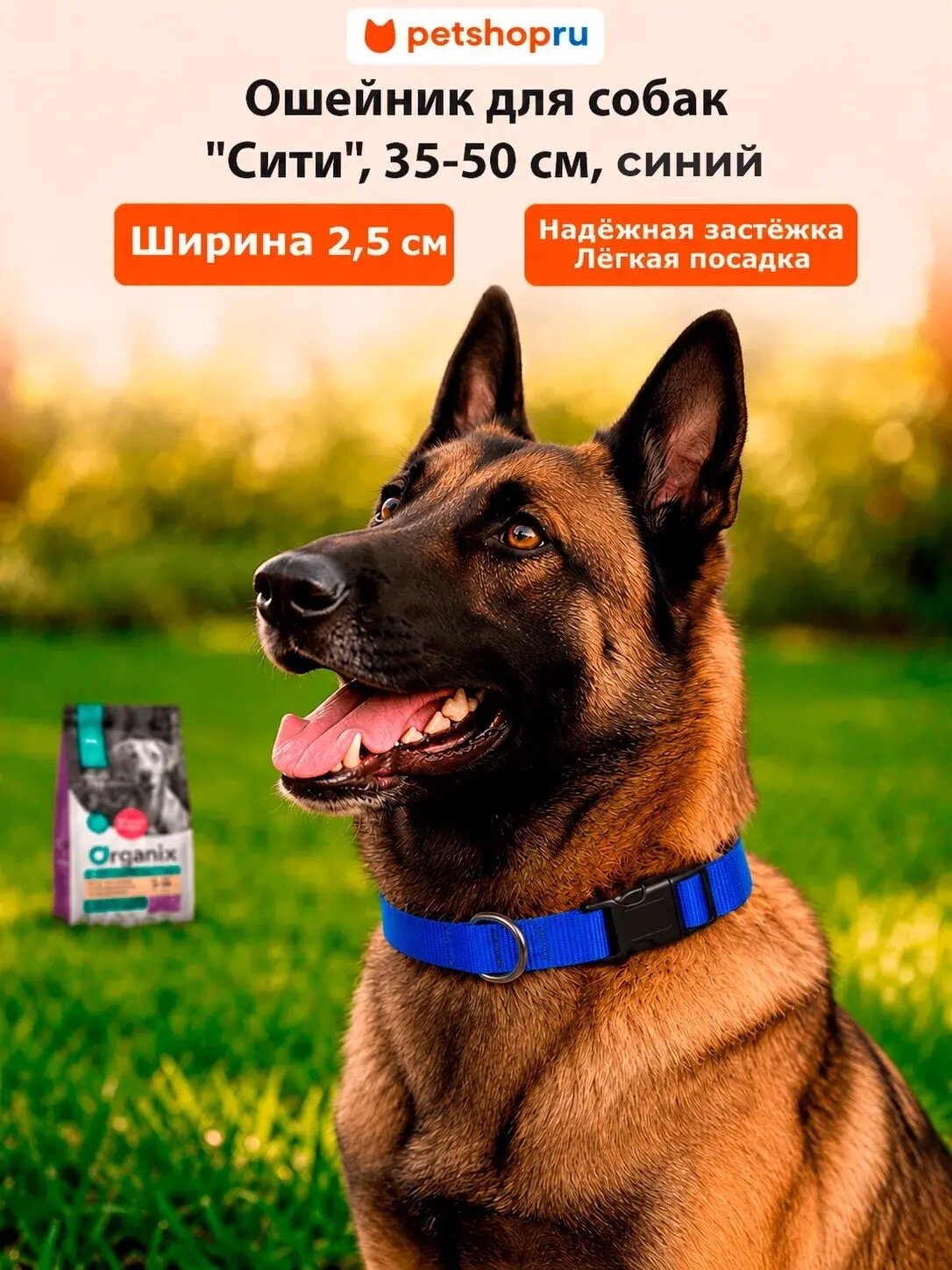 Yami Yami амуниция Ошейник "Сити" для собак, синий, 35-50 см