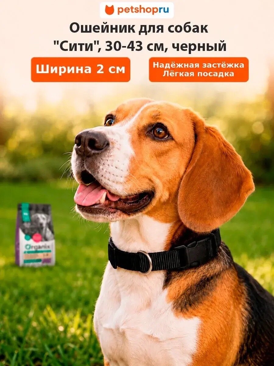 Yami Yami амуниция Ошейник "Сити" для собак, черный, 30-43 см