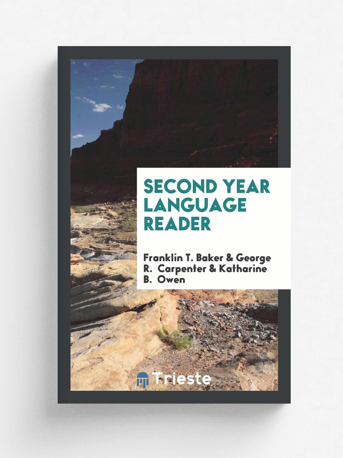 Second Year Language Reader