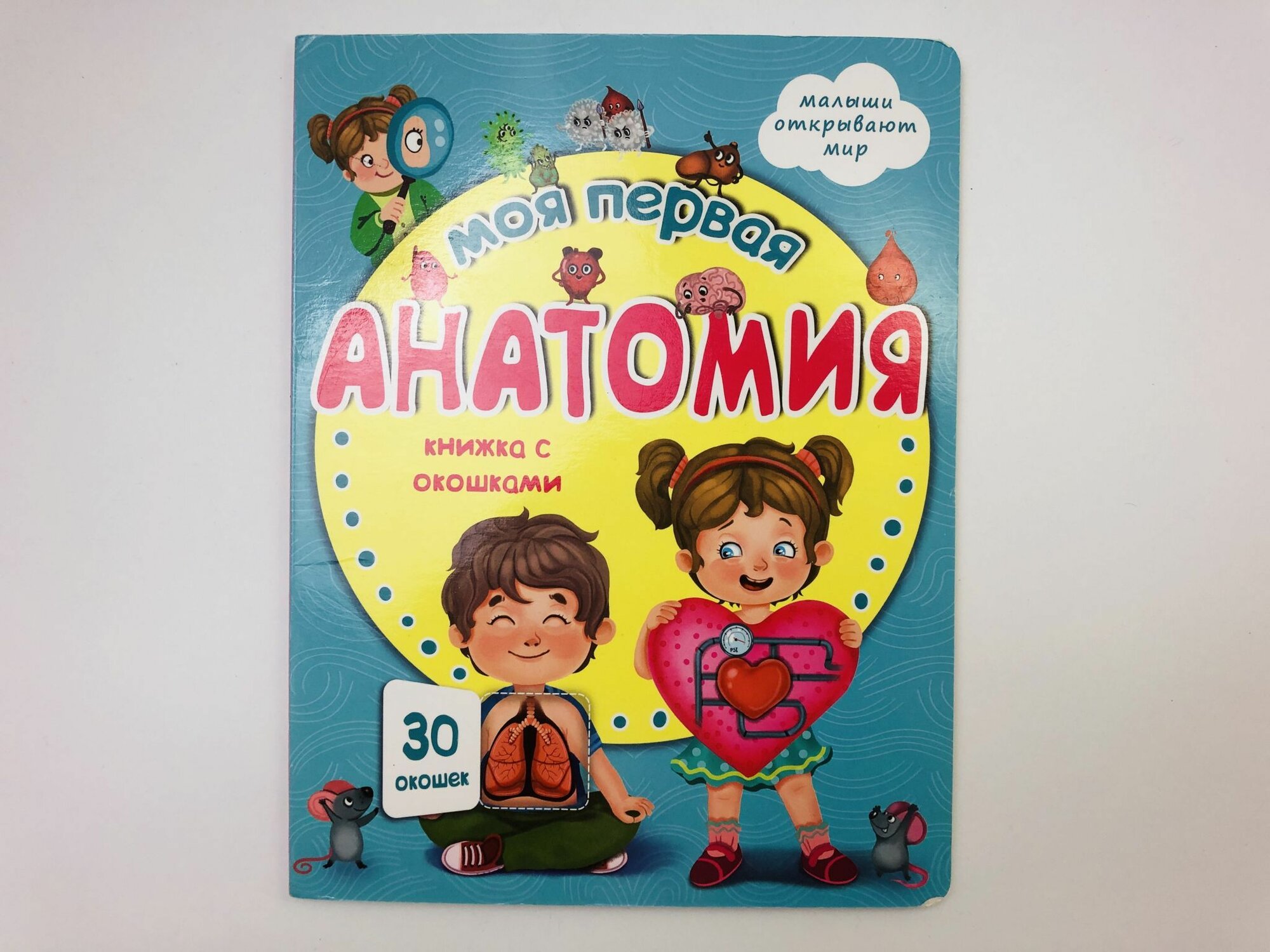 Моя первая анатомия. Книжка с окошками