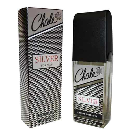 Alain Aregon Chale Silver 100 мл eau de toilette мужской / Шале Сильвер