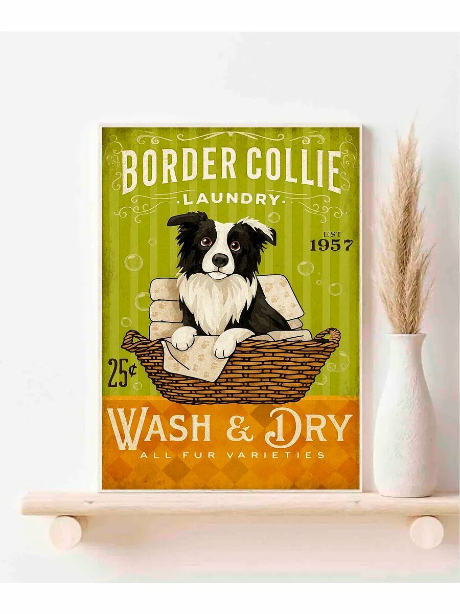 Собака породы бордер колли, Wash Dry, Плакат 30x42см
