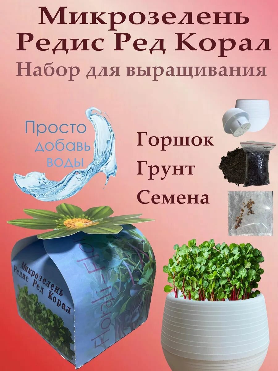 Набор для выращивания микрозелень редис ред корал
