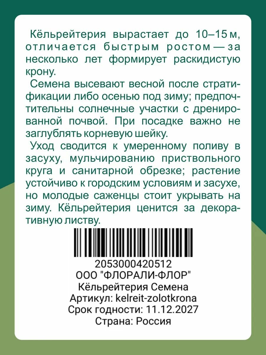 Кёльрейтерия Семена — фото 1