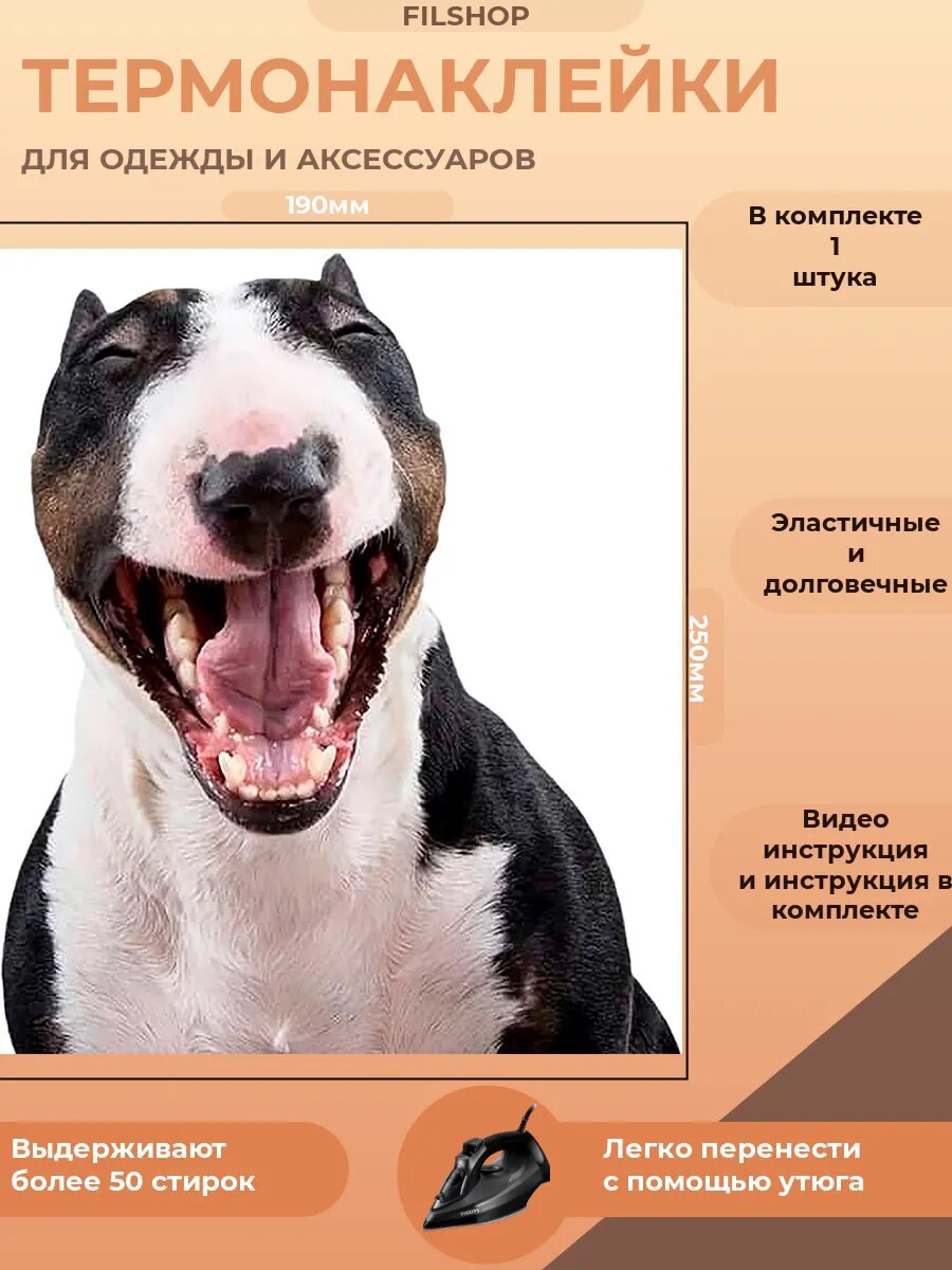 Термонаклейка на одежду бультерьер