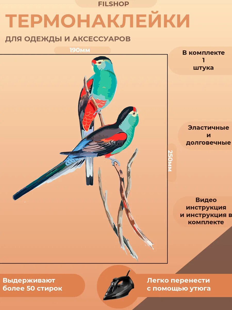 Термонаклейка на одежду воробьи