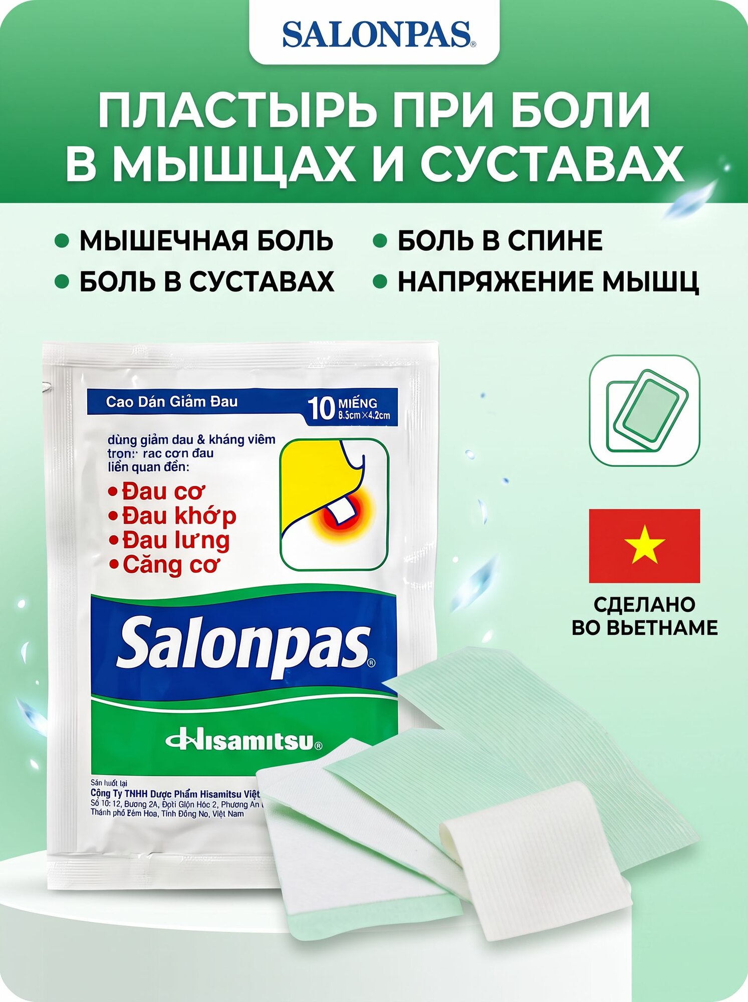 SALONPAS Пластырь (Салонпас) Hisamitsu, 10 шт, Вьетнам