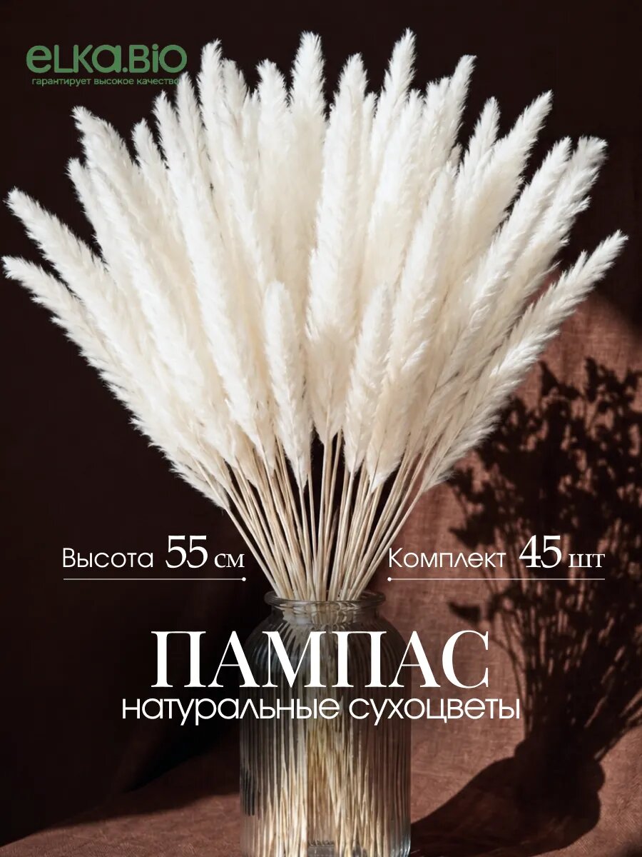 Пушистый сухоцвет 45 шт пампасная трава белая, цветы для декора, elka.bio