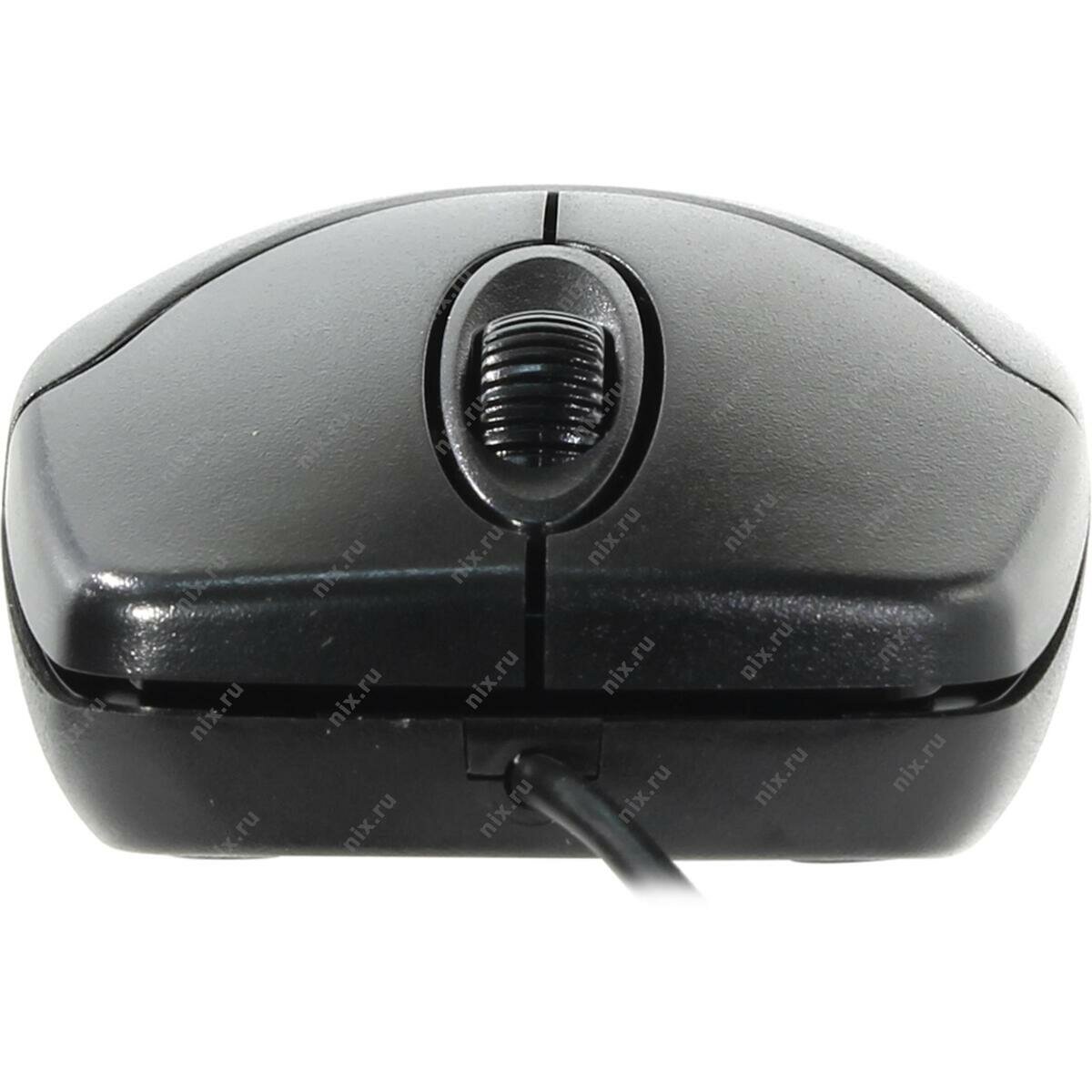 Genius Optical Mouse NetScroll 120 V2 Black (RTL) USB 3btn+Roll (31010235100/31010018400) — фото 1