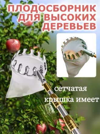 Плодосборникх16