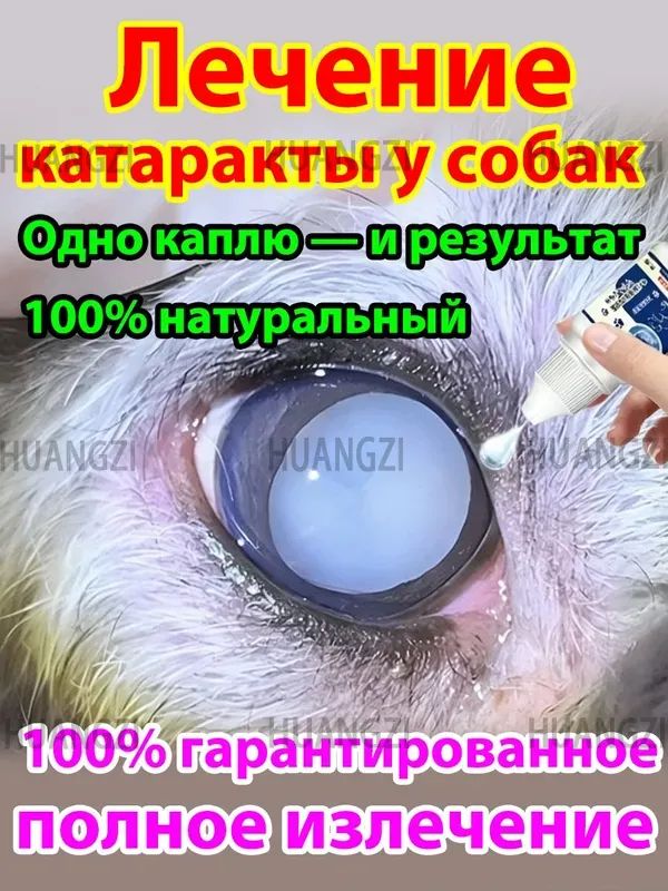 Глазные Японские капли от катаракты глаукомы и собаки кошки