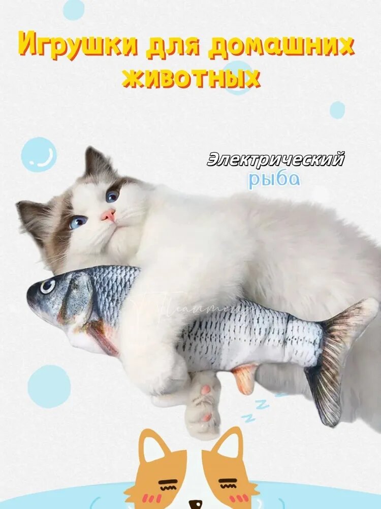 Популярный танцующий карп для питомцев, заряжаемый через USB