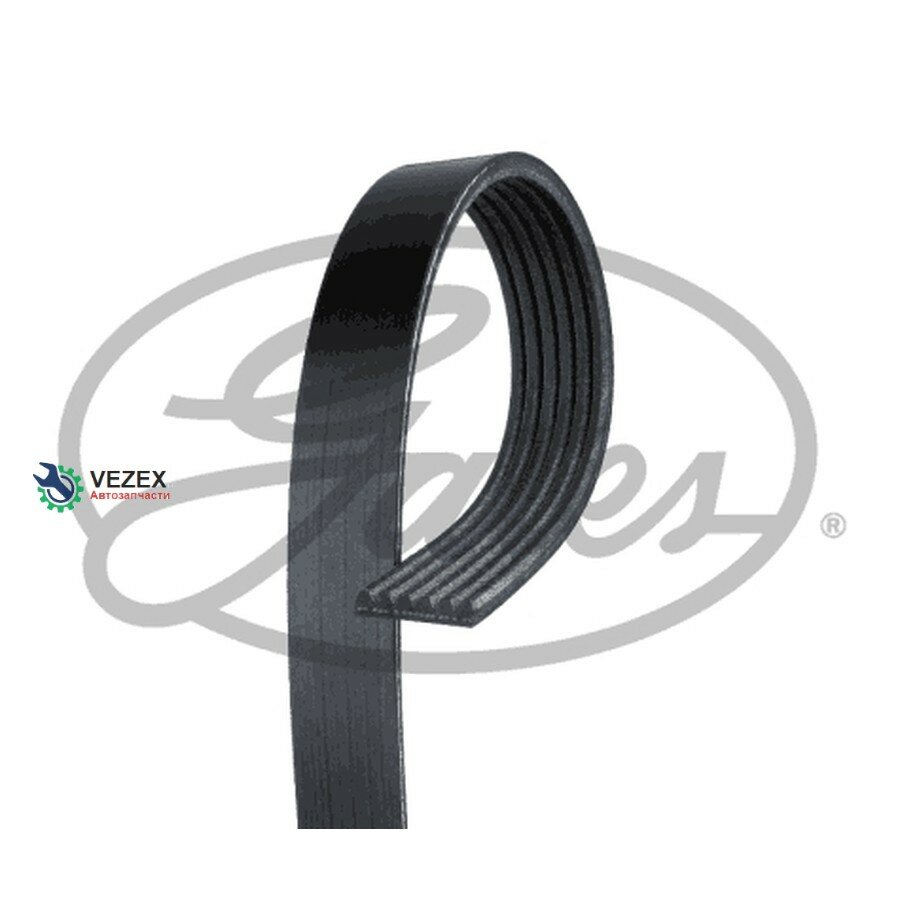 GATES 6PK1453 Поликлиновой ремень 6PK1453 (8653-10318)