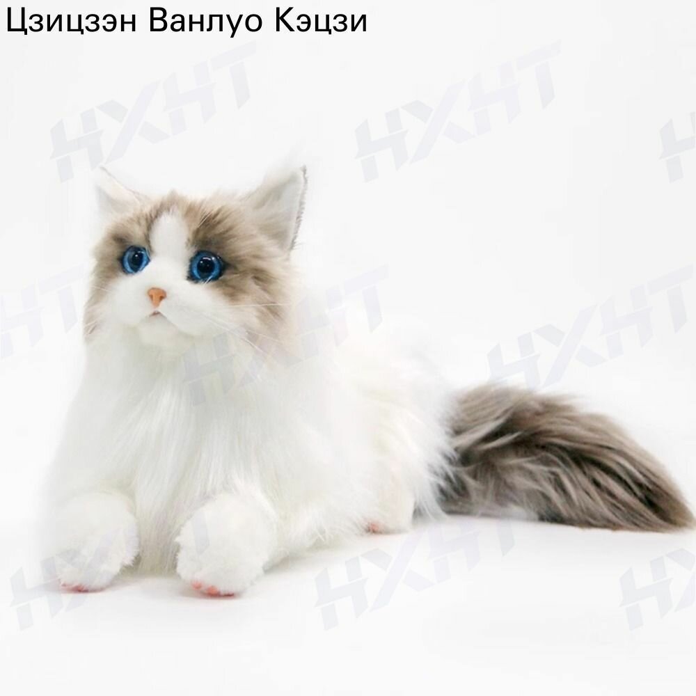 Реалистичная Мягкая Игрушка, Кот Рэгдолл, Со Сменными Воротничками