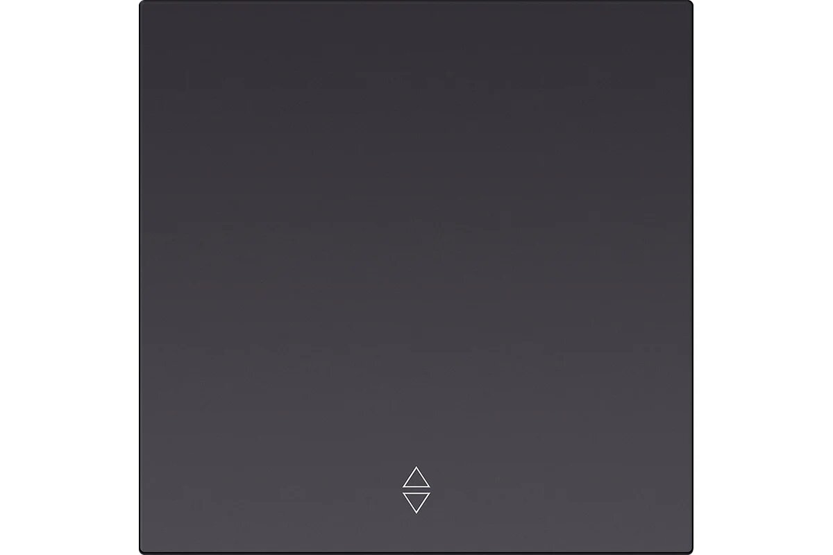 Выключатель проходной 1-клавишный независимый 10А черный Альтаир SBE-i11b-10-SW12-0