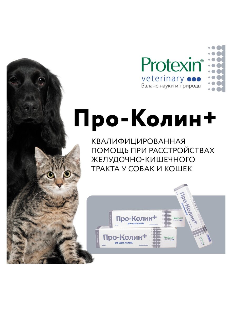 Пробиотик Protexin Проколин для кошек и собак 15 мл — фото 1