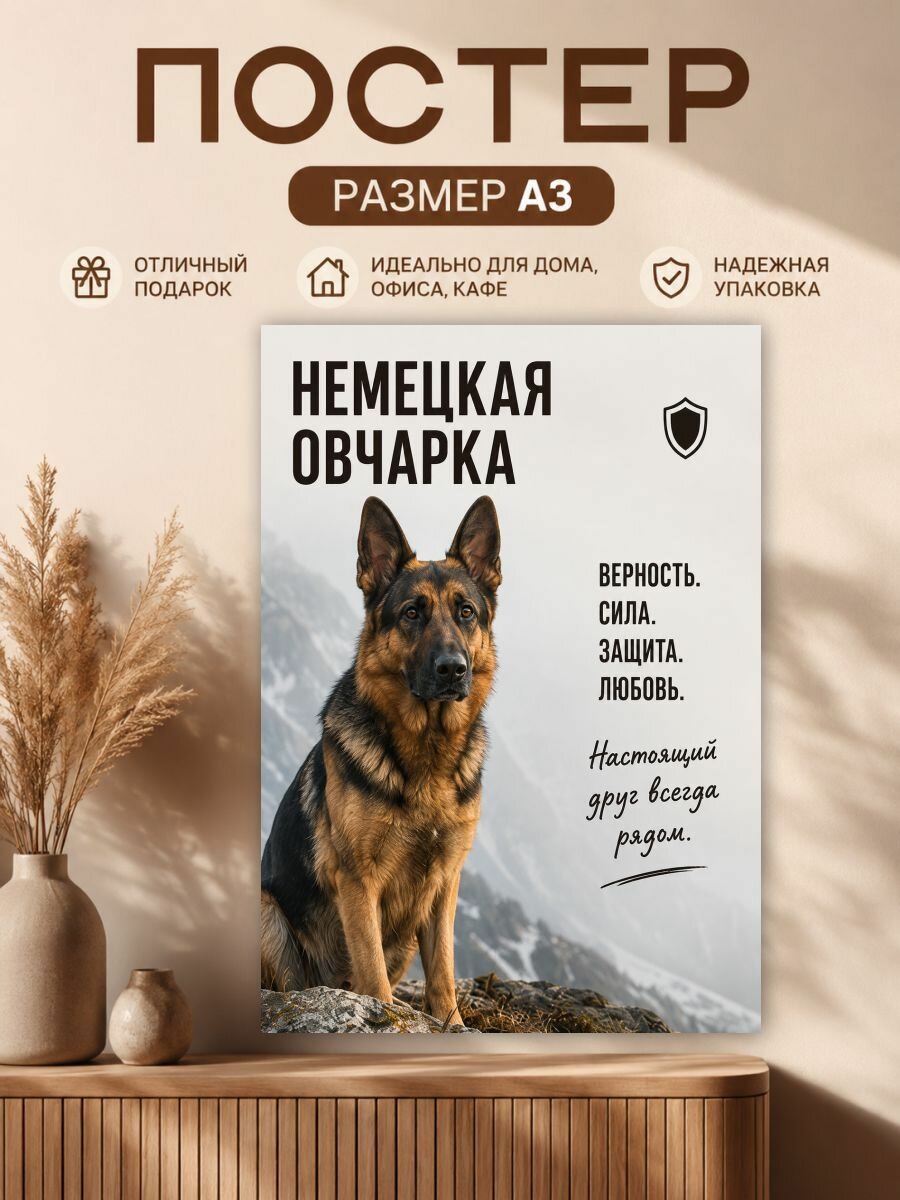 Постер на стену с Немецкой овчаркой