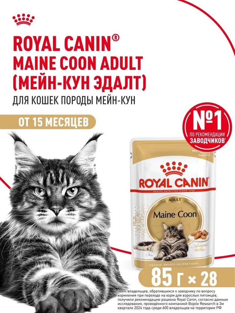Влажный корм для кошек Royal Canin Adult в соусе для породы мейн кун 85 г х 28 шт