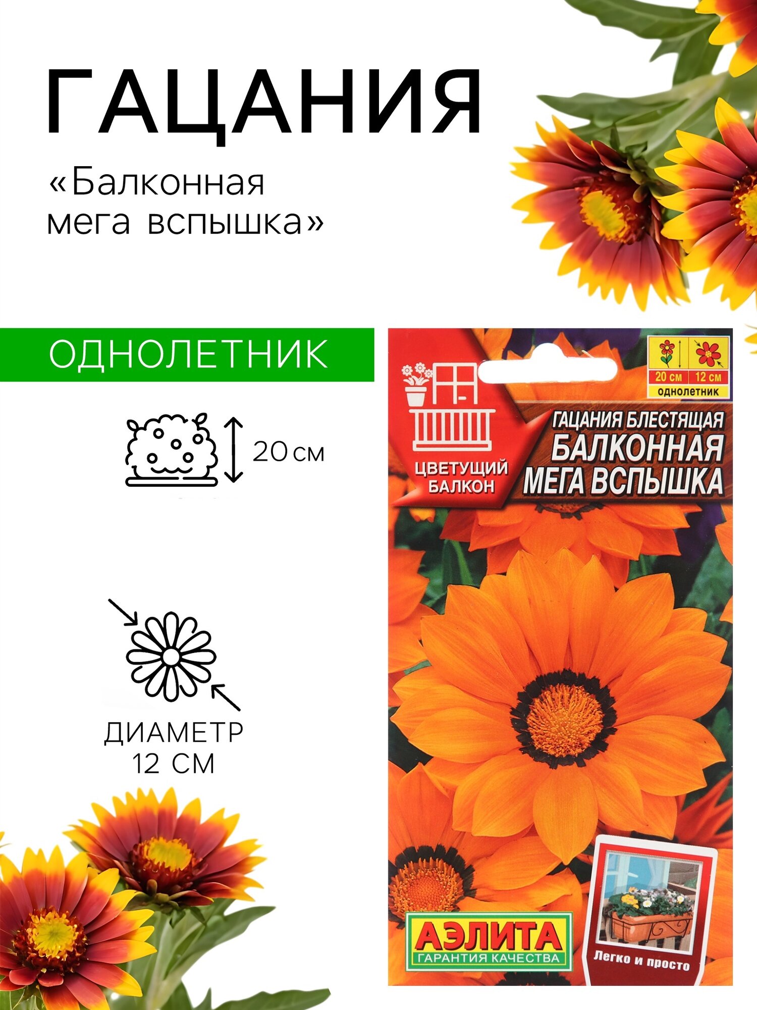 Гацания «Балконная», семена, для балкона, веранды, цветника, однолетник, низкорослая4 шт.