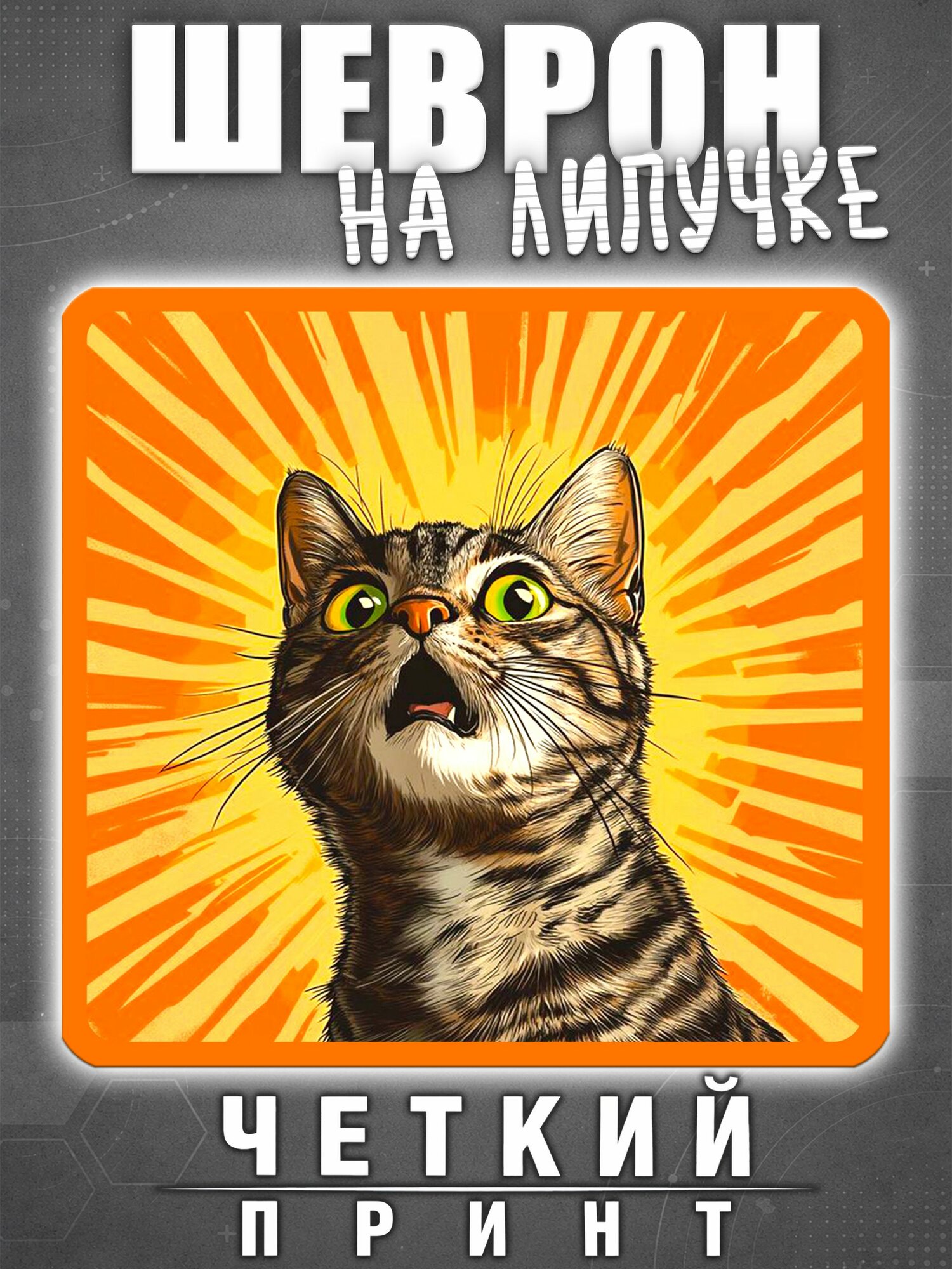 Шеврон Кот в шоке