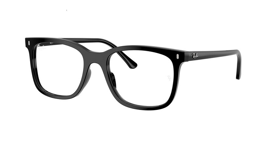 Оправы Ray-Ban RB 5446 2000 53