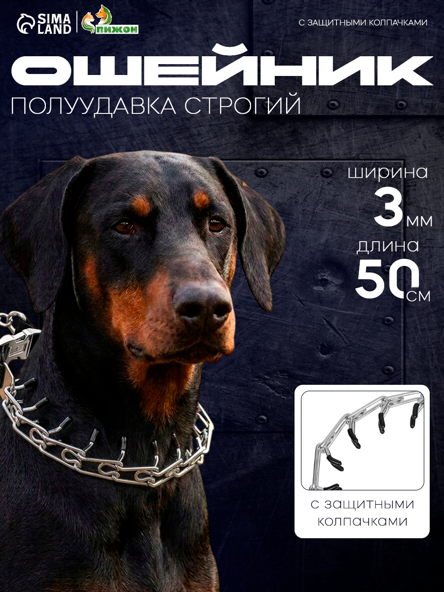 Ошейник - полуудавка строгий, 3 мм × 50 см, с защитными колпачками
