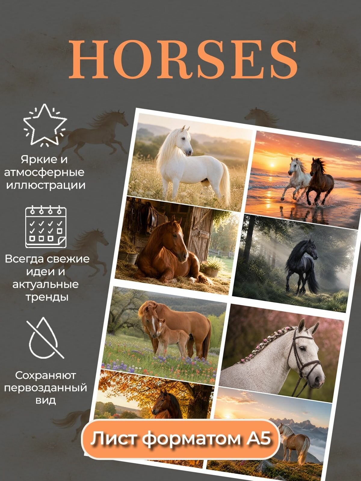 Наклейки Лошадь (Horse)