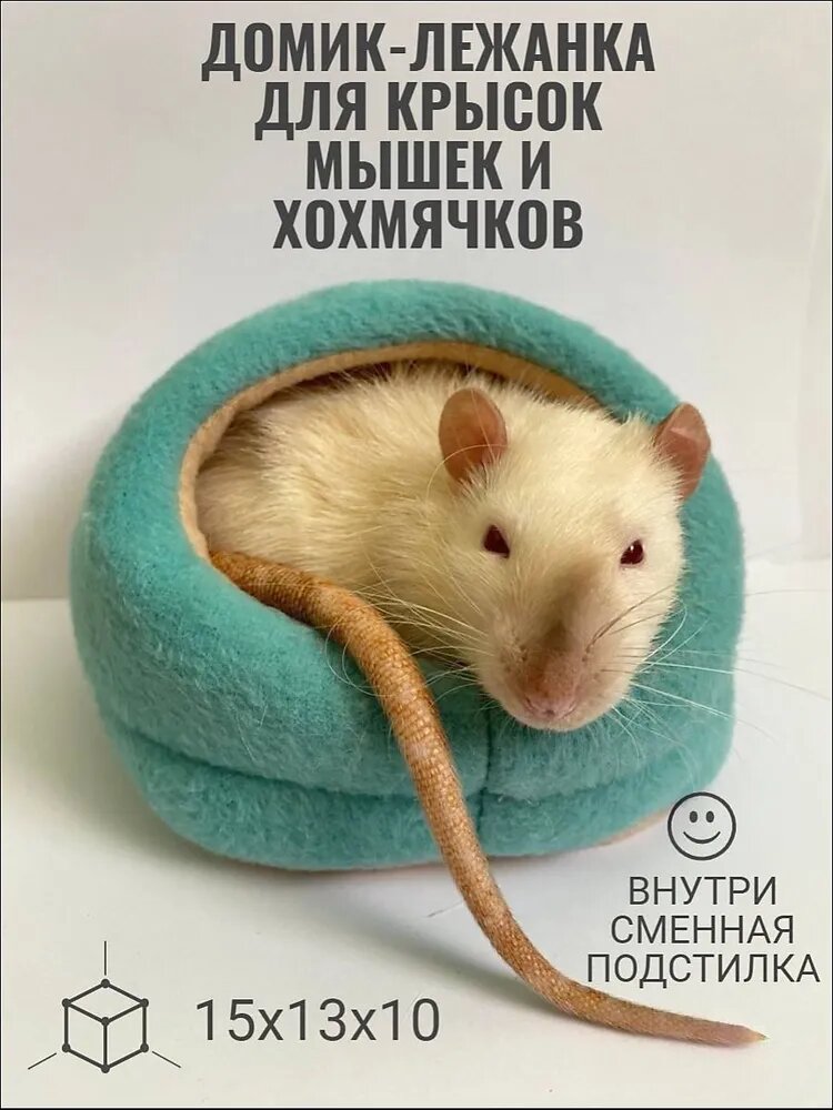 Домик со съемной лежанкой для крысы 15х13х10 голубой