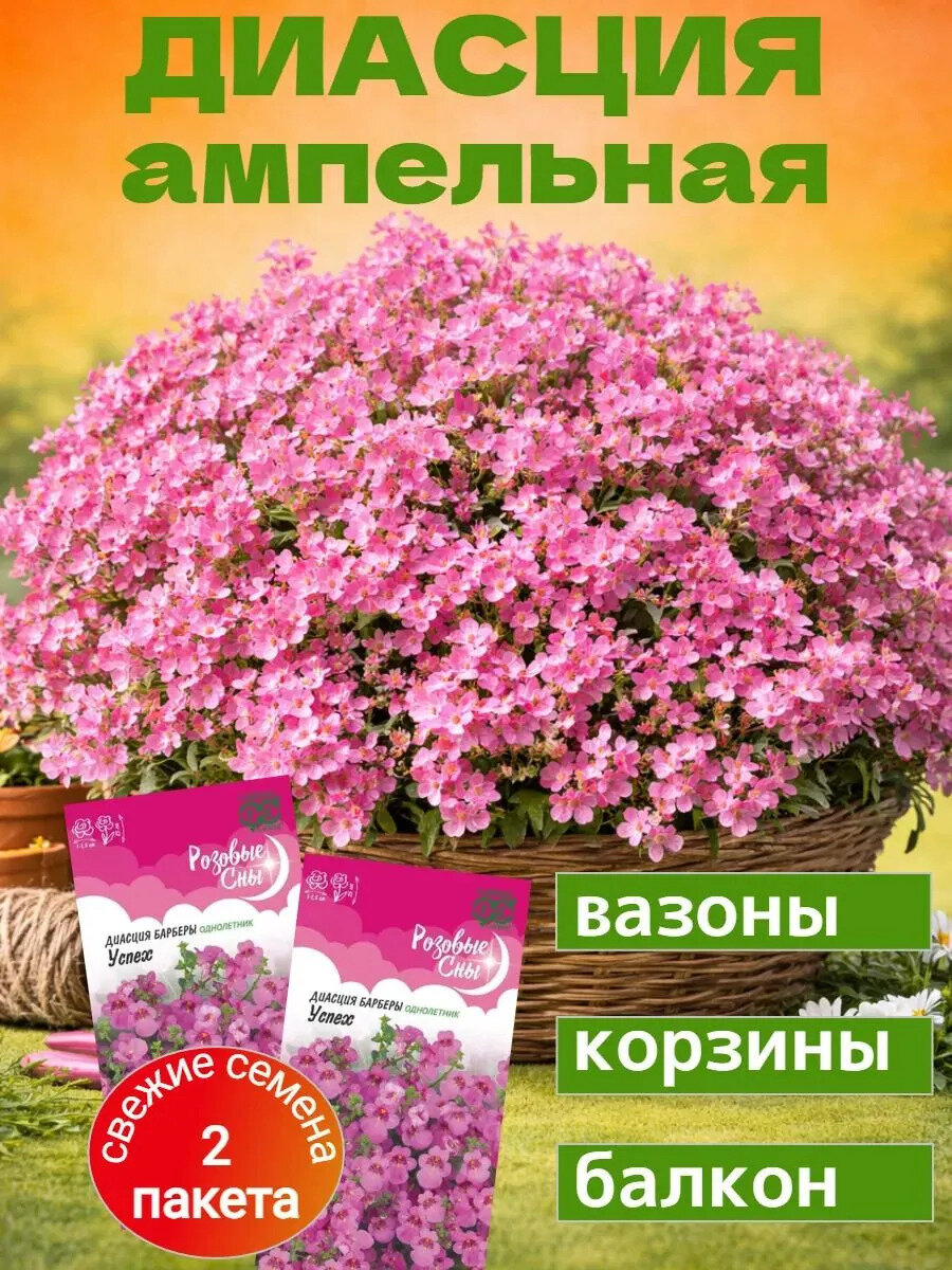 Семена Диасция ампельная розовая 2 пакета
