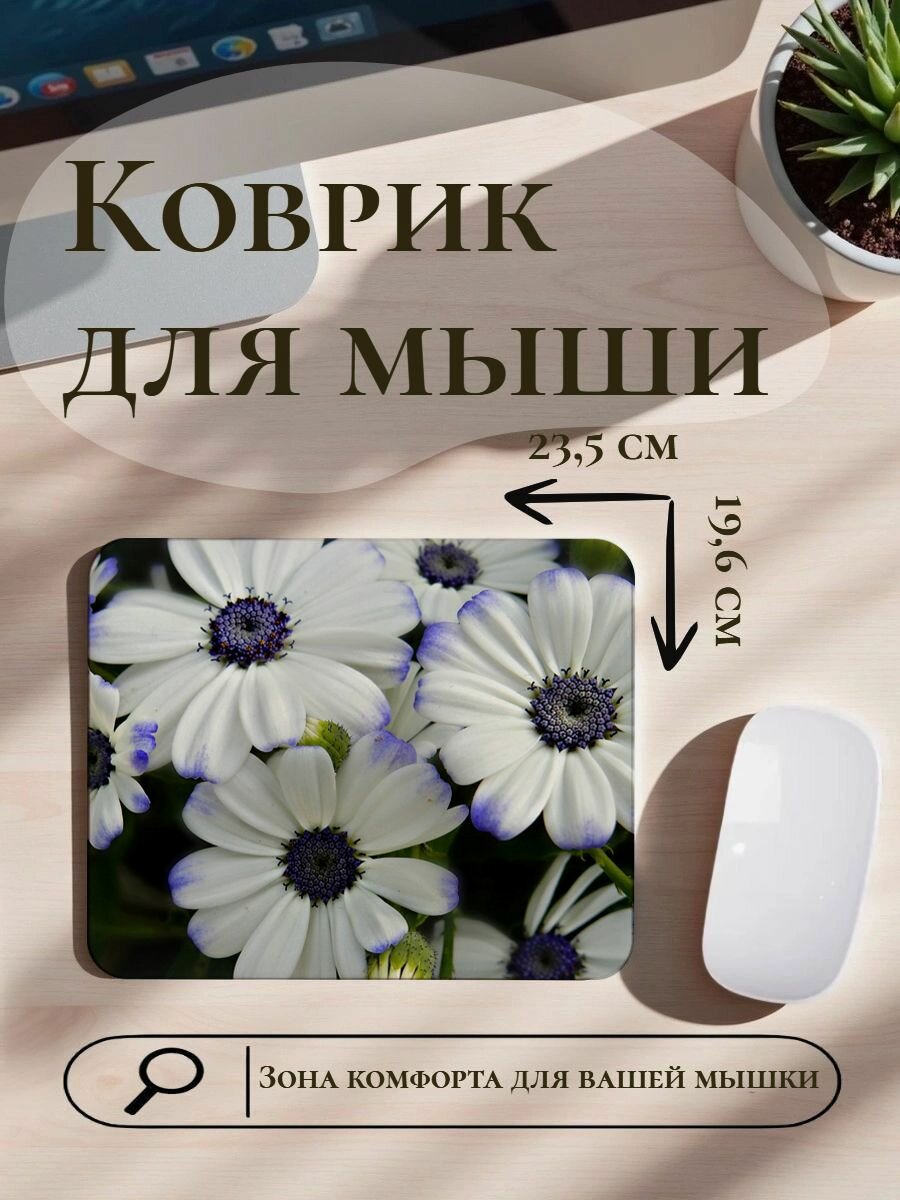 Коврик для мыши белые цветы цинерарии