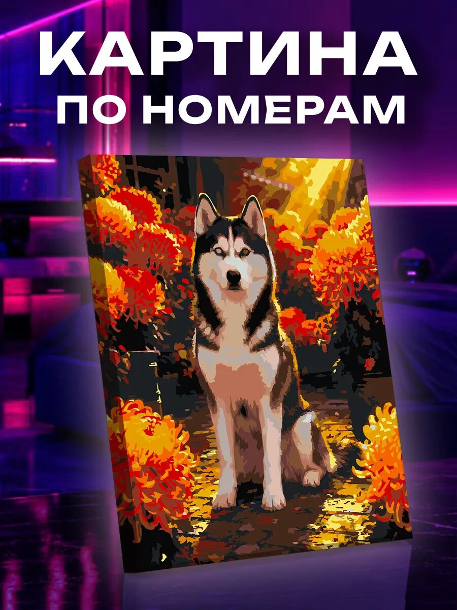 Картина по номерам Хаски среди хризантем