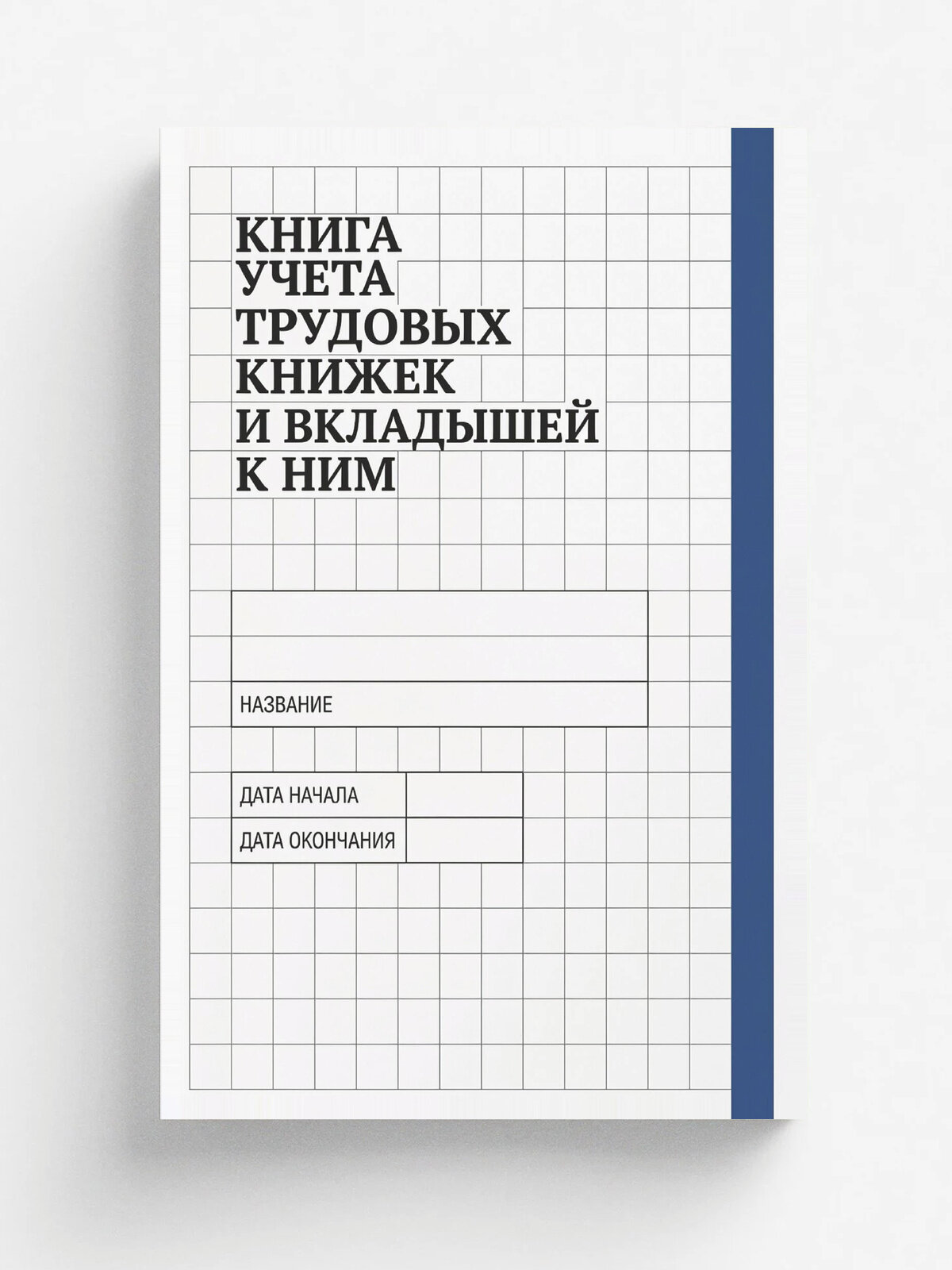 Книга учета трудовых книжек и вкладыщей к ним, дизайн: "Ментранпаж", 100 страниц. Оформлена по стандарту, разлинована