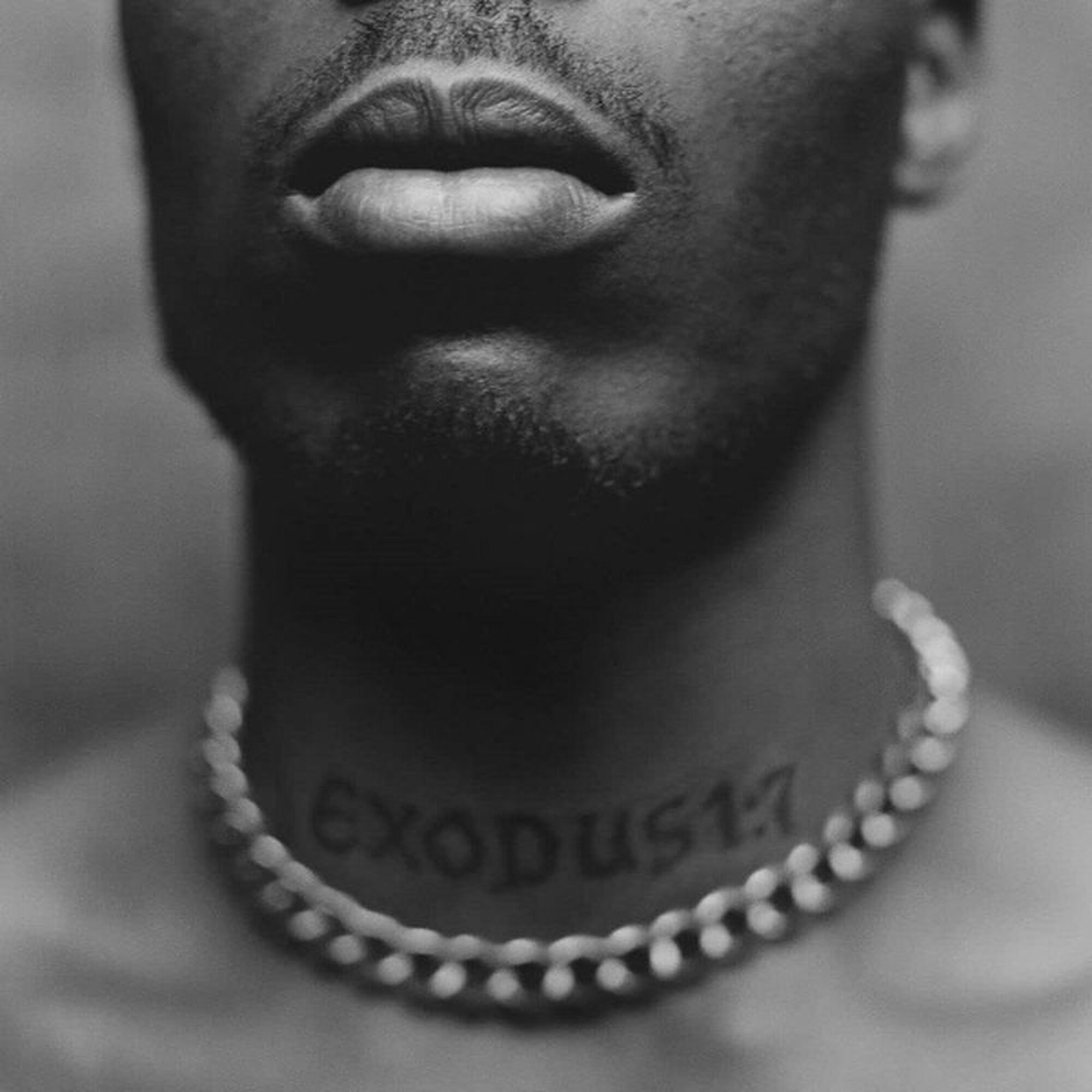 Виниловая пластинка DMX - "Exodus", 2021, LP, Def Jam Recordings, черный винил