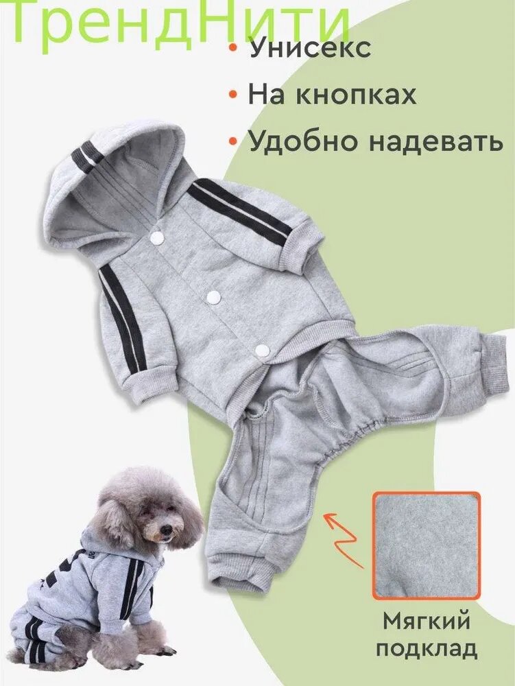 Одежда для животных — фото 1