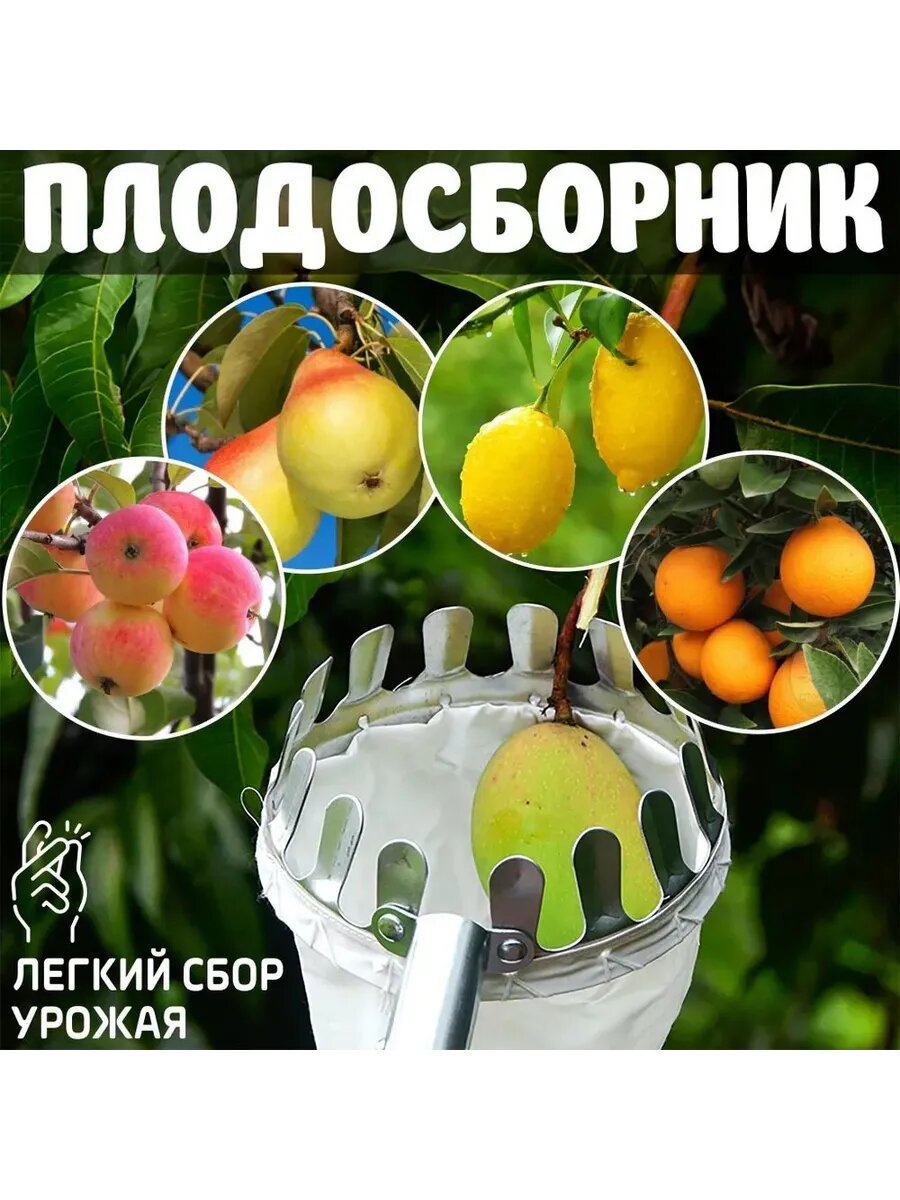 Плодосъемник с тряпичным мешочком, металлические зубцы, D 14 см, без черенка