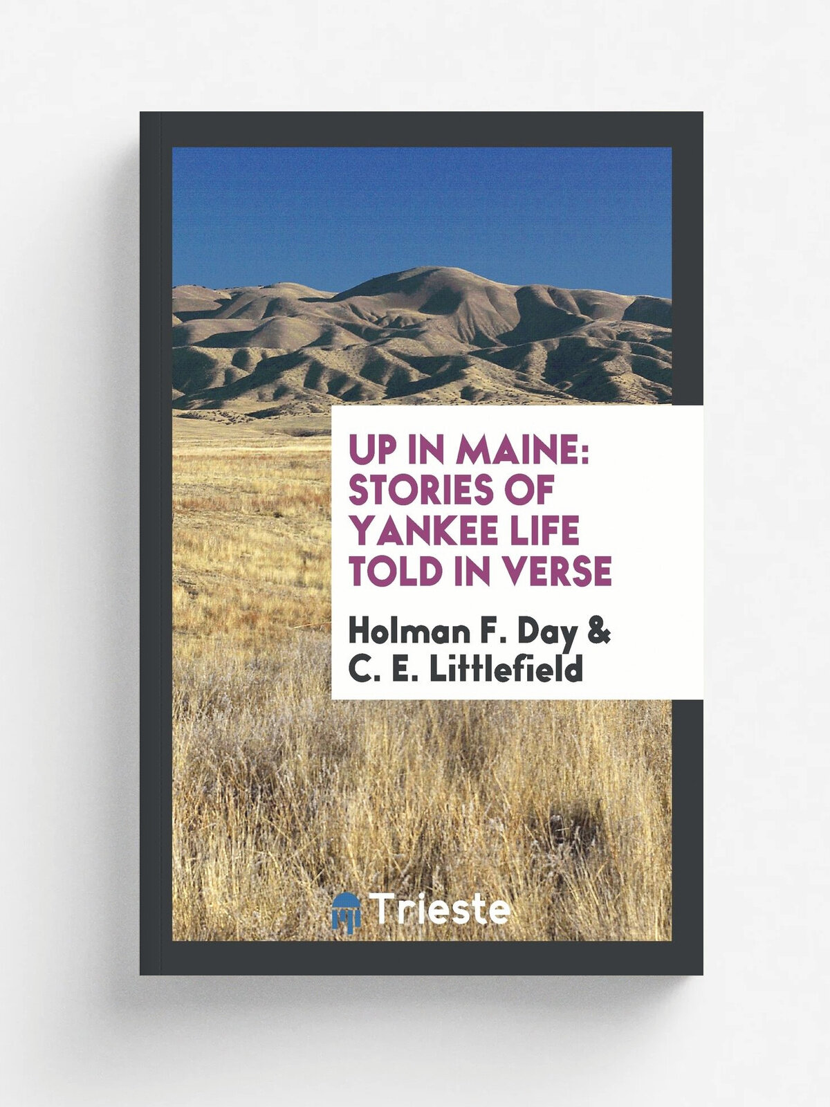 Up in Maine. Stories of Yankee Life Told in Verse