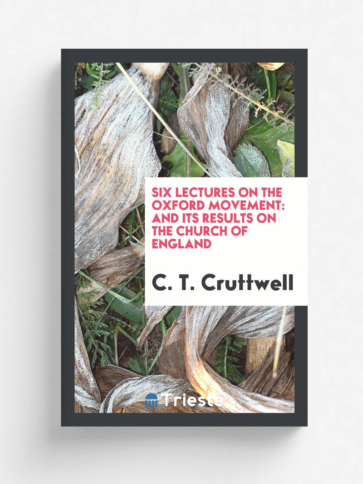 Six lectures on the Oxford movement. and its results on the Church of England