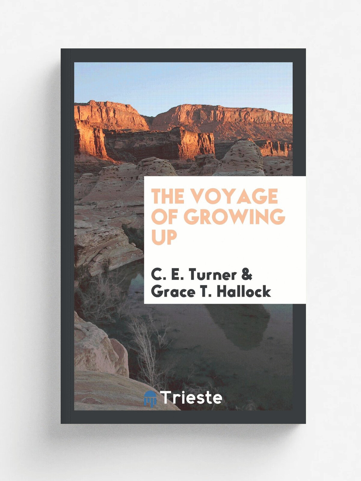 The voyage of growing up