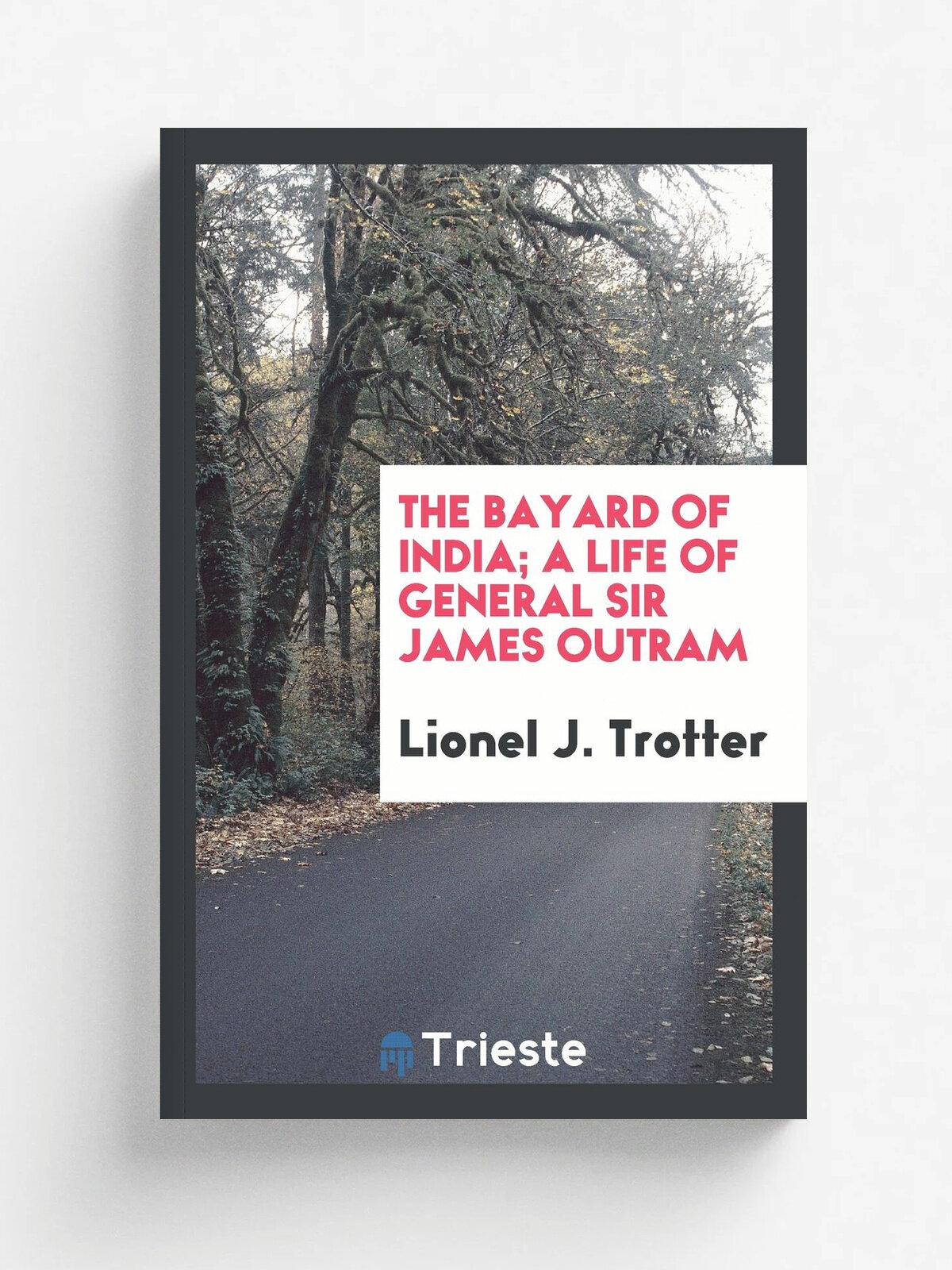 The Bayard of India; a life of General Sir James Outram
