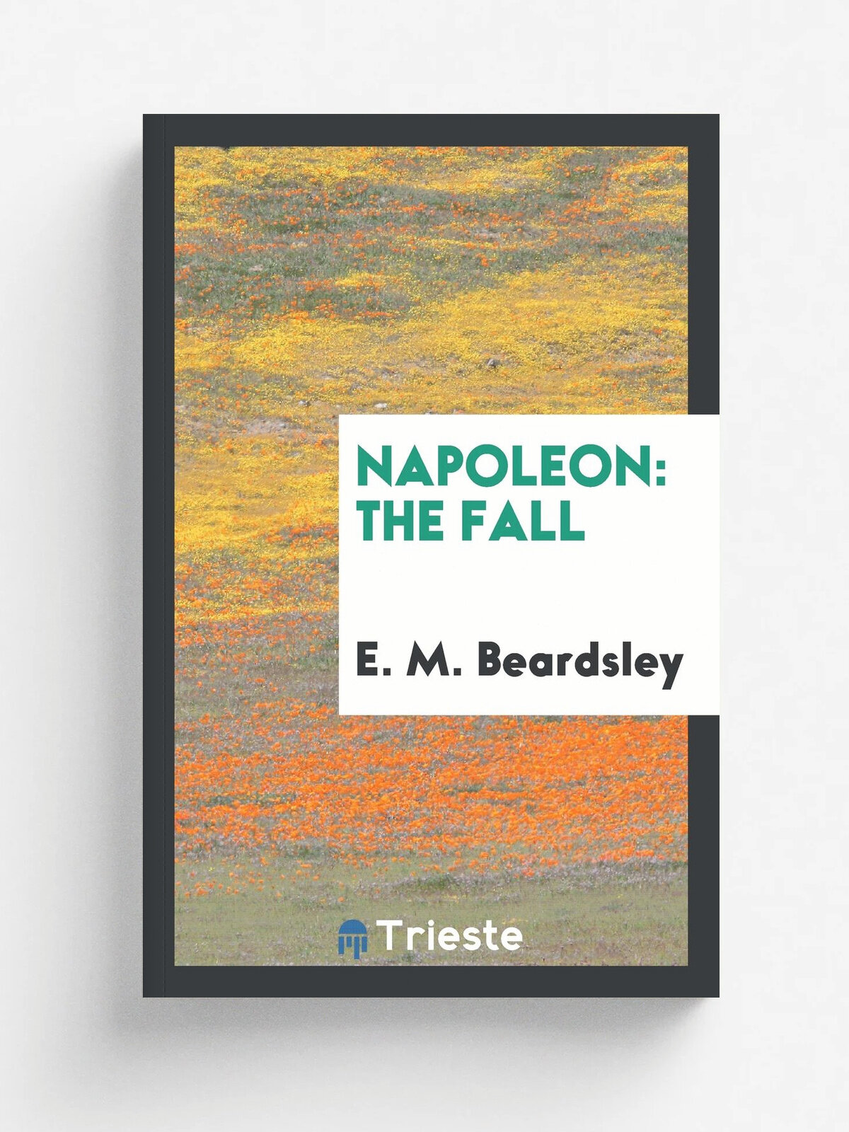 Napoleon. the fall