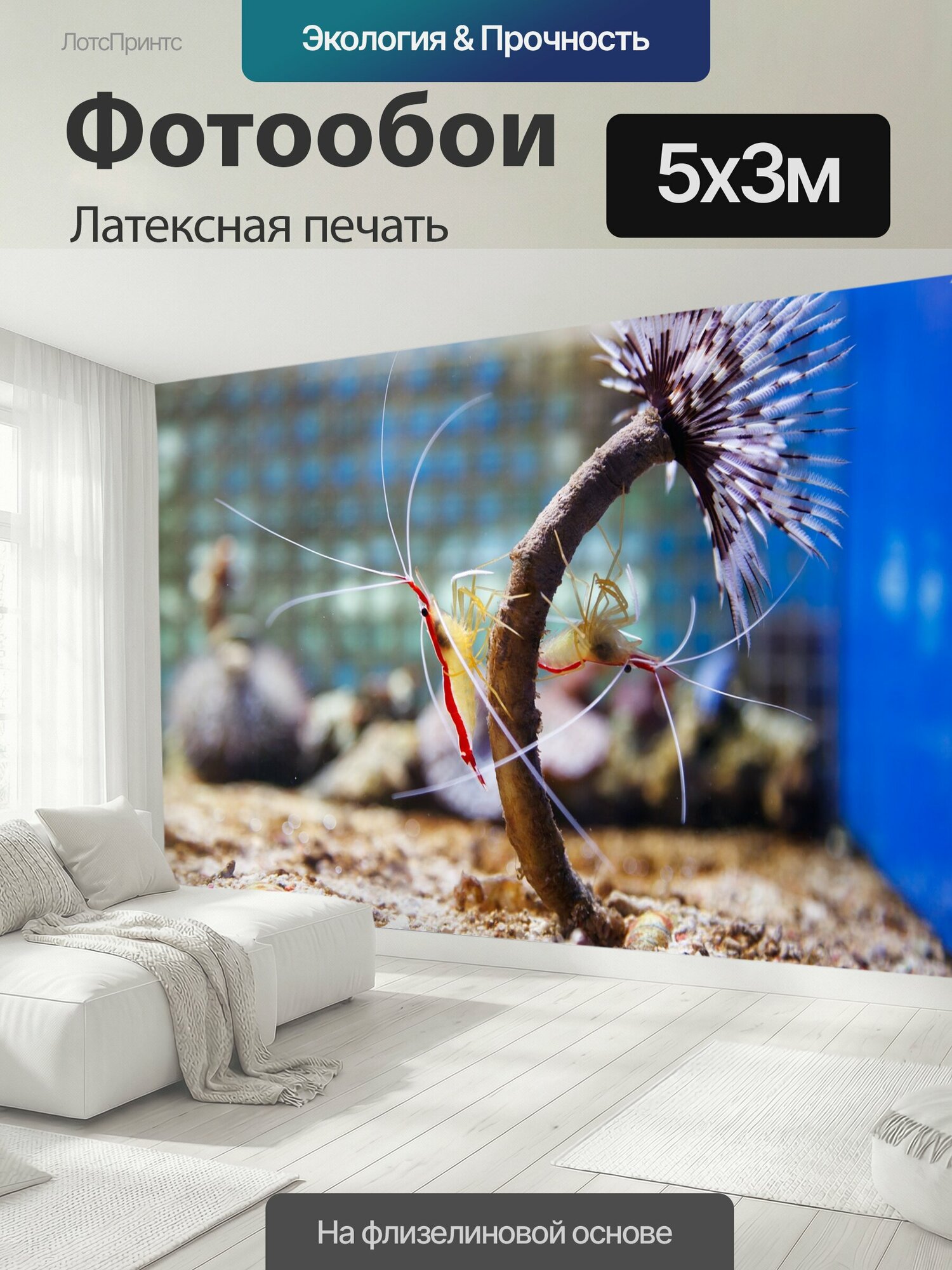 Фотообои моющиеся ударопрочные "Северный, очиститель, креветка" 500x300 см. латексная печать