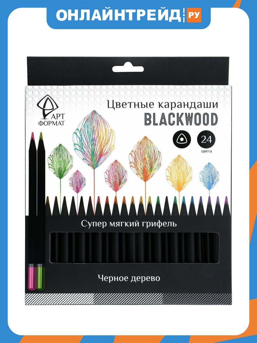 Набор цветных карандашей Артформат Blackwood 24 цв трехгран корп дерев карт уп