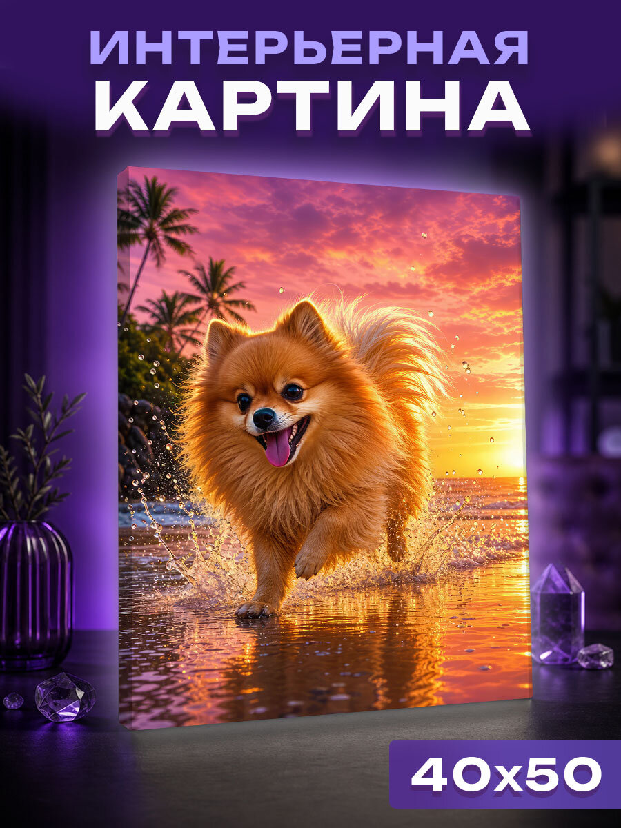 Интерьерная картина Шпиц бежит по воде на фоне заката