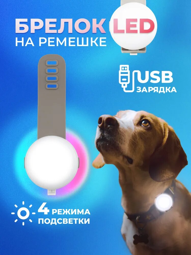 Светящийся брелок на ошейник для собак Pet-it блинкер светодиодный на ремешке 6 см, LED фонарик диаметр 3,5 см micro USB серый