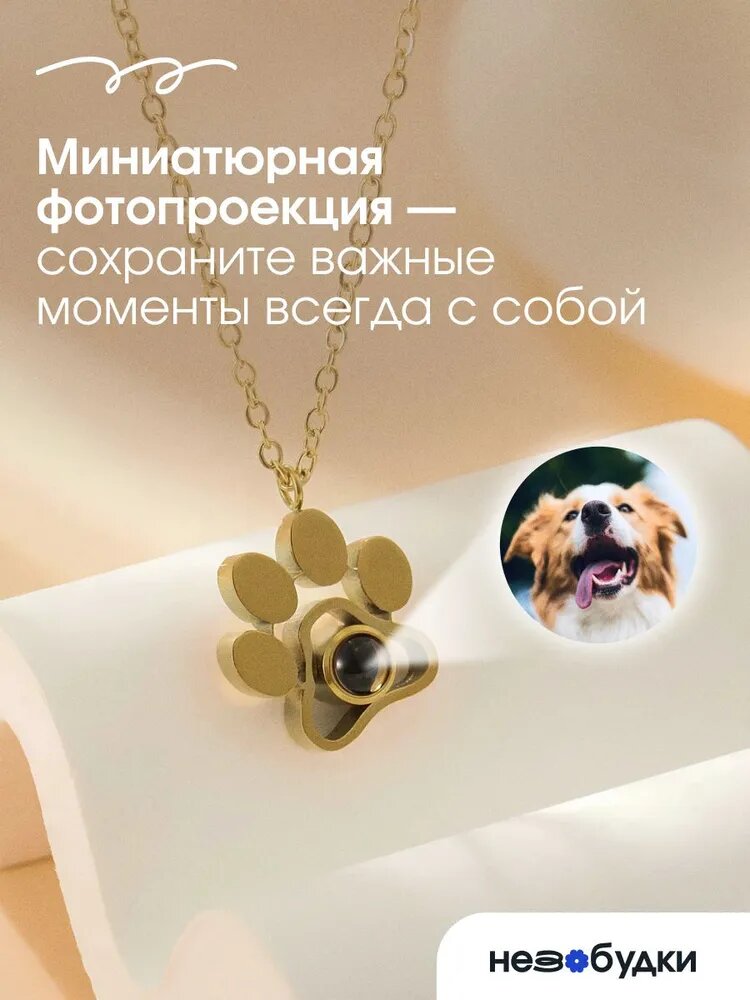 Подвеска Лапка с фото от Незабудки, из нержавеющей стали, с покрытием золото, женская, мужская — фото 1