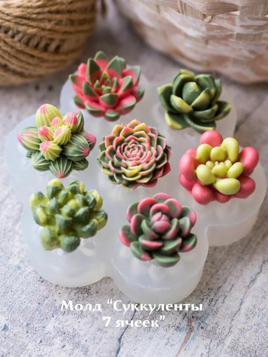 Молд Суккуленты для суккулентов