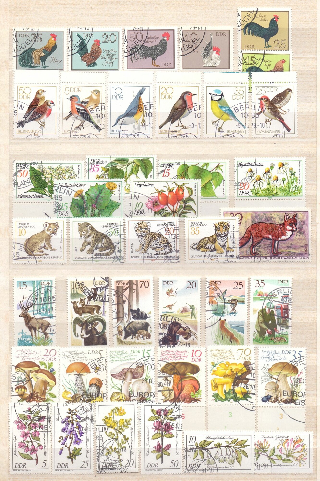 Почтовые марки ГДР 1970-1990 года. Фауна. Чистые, Гашеные Набор 40 штук. Полные серии.