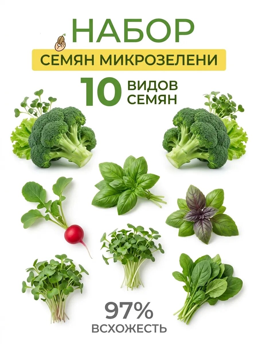 Семена микрозелени для проращивания и выращивания