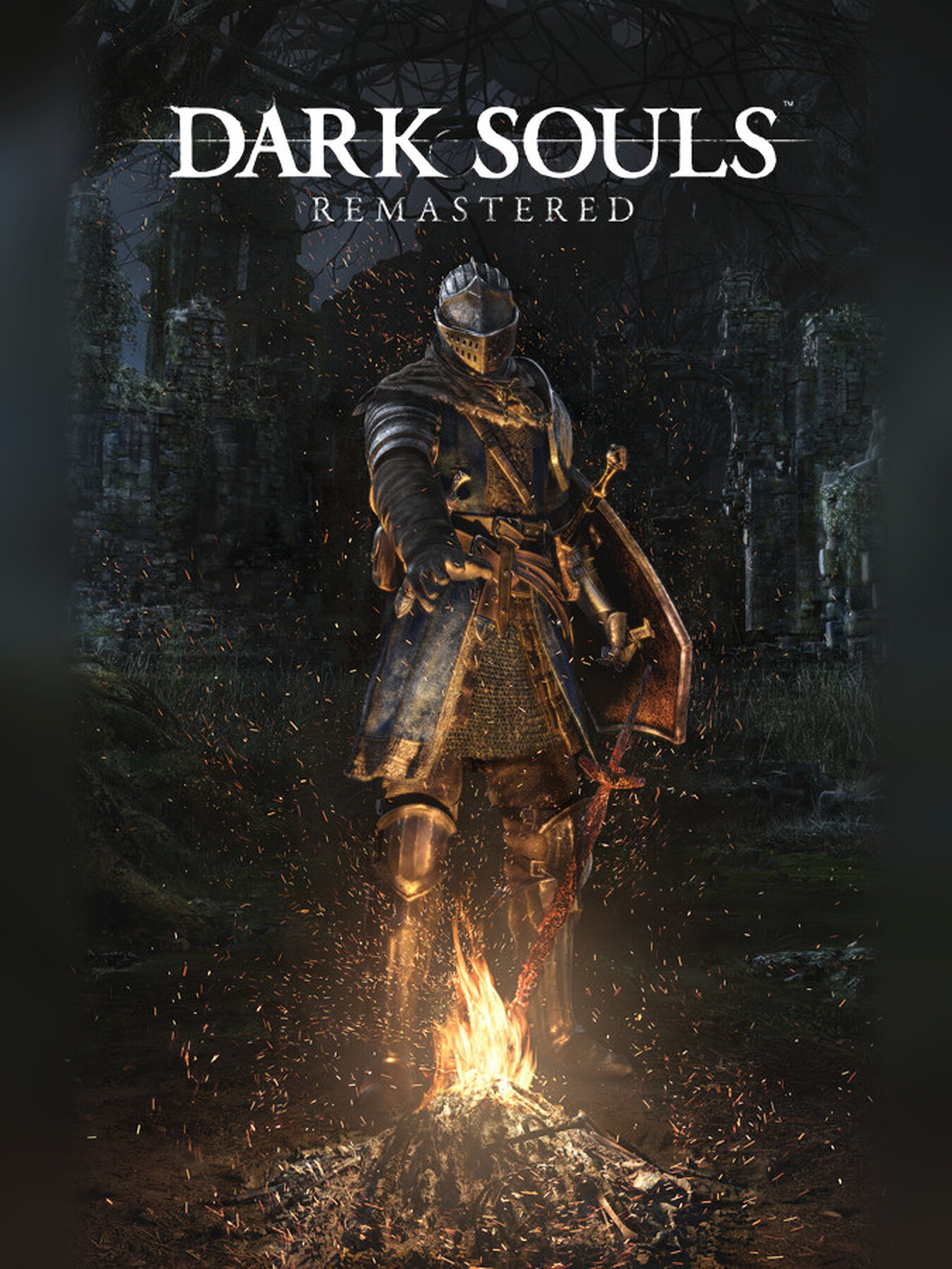 DARK SOULS™: REMASTERED Россия