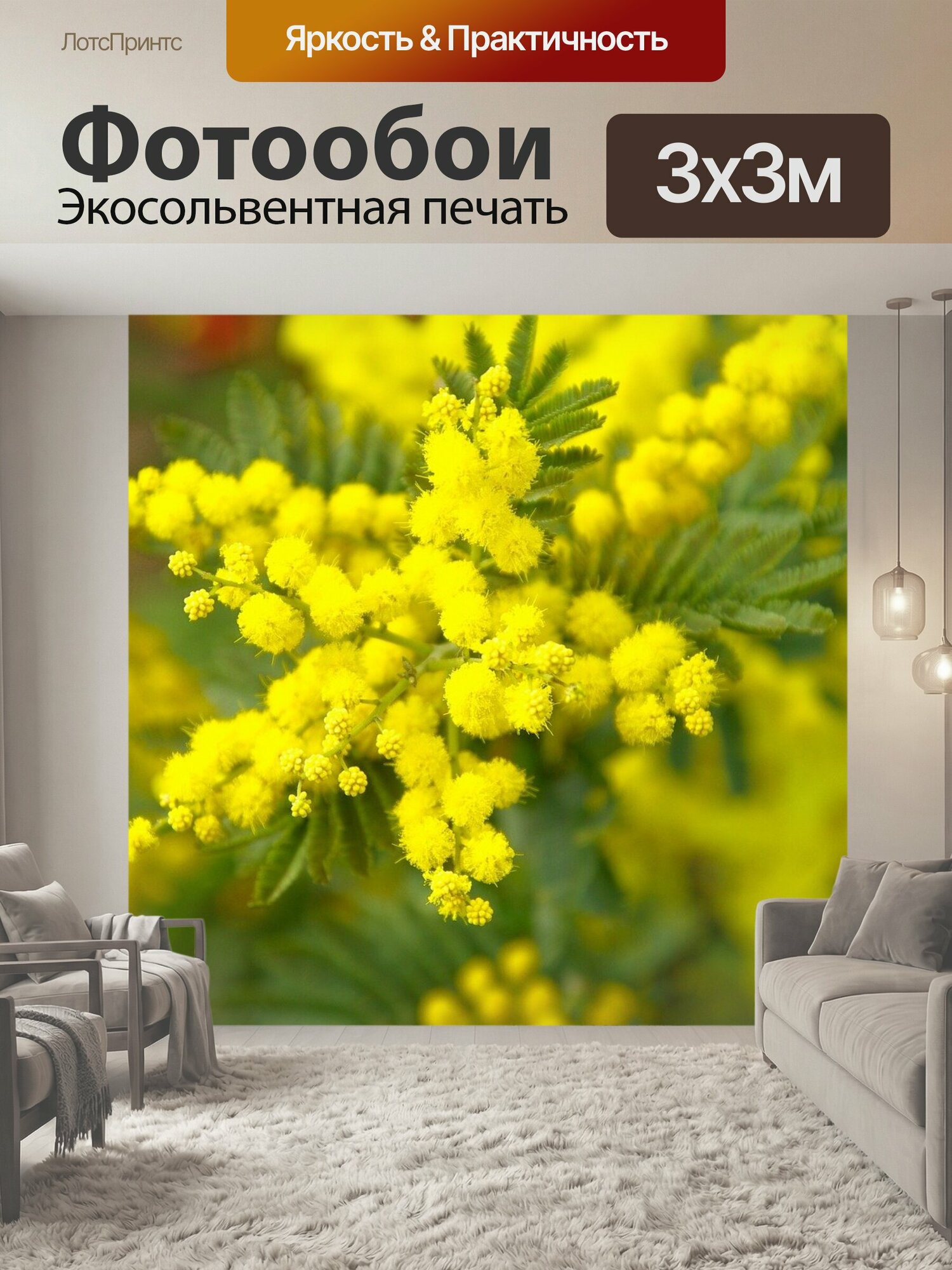 Фотообои "Мимоза, весна, желтый цветок" 300x300 см. экосольвентная печать